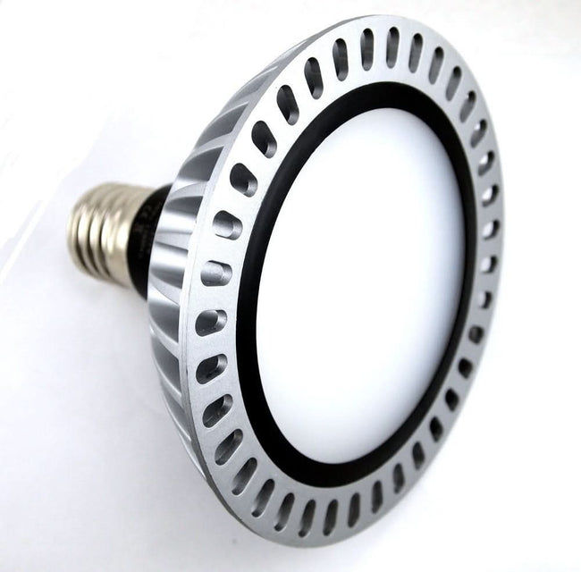 LED PAR56 - 32W Light Bulb | Waterproof, Energy Efficient - Shop Now